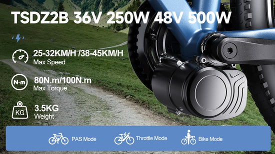 TSE TONGSHENG TSDZ2B 500W Torque Sensing Mid Drive Motor Conversion Ki ...